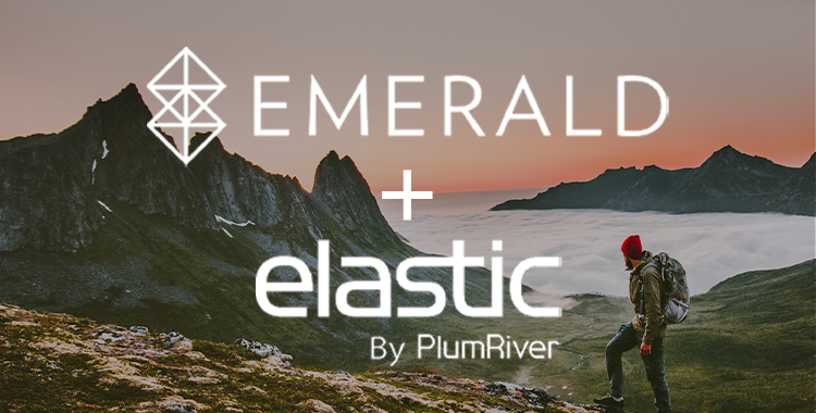 Emerald X + Elastic Suite | B2B Ecommerce Solutions