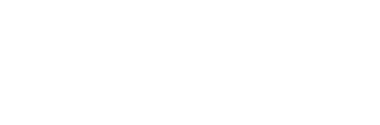 Elastic Suite | B2B Ecommerce & Digital Merchandising Platform